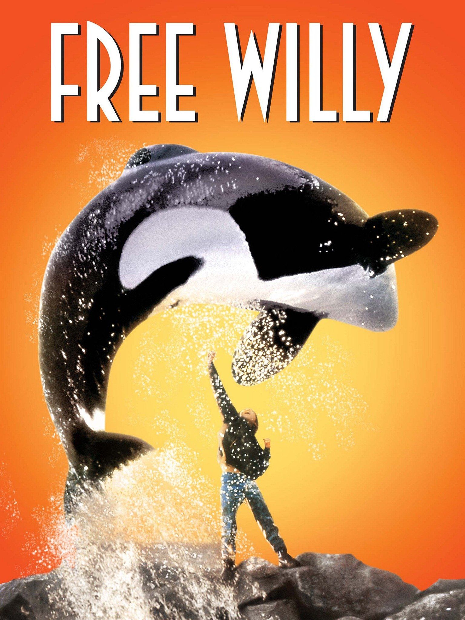 free Willy Wallpapers - Top Free free Willy Backgrounds - WallpaperAccess