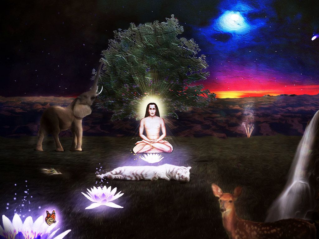 Mahavatar Babaji Wallpapers - Top Free Mahavatar Babaji Backgrounds ...