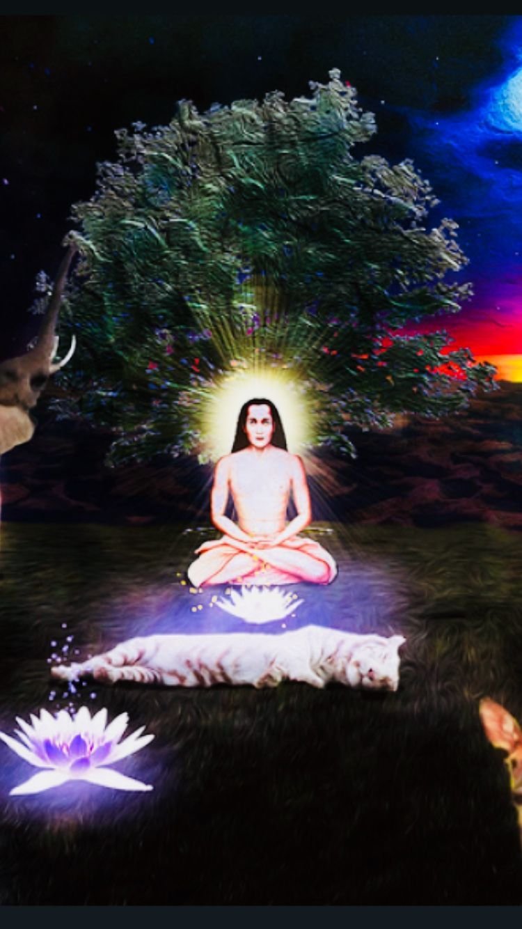 Mahavatar Babaji Wallpapers - Top Free Mahavatar Babaji Backgrounds ...