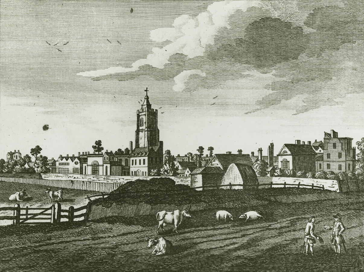 Henry Cavendish Wallpapers - Top Free Henry Cavendish Backgrounds ...