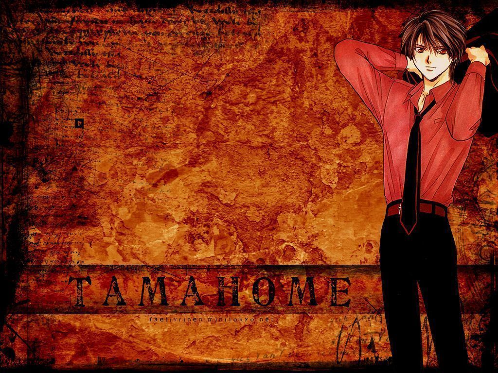 Tamahome Wallpapers - Top Free Tamahome Backgrounds - WallpaperAccess