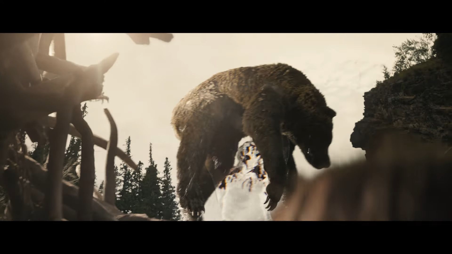 Prey 2022 Wallpapers - Top Free Prey 2022 Backgrounds - WallpaperAccess