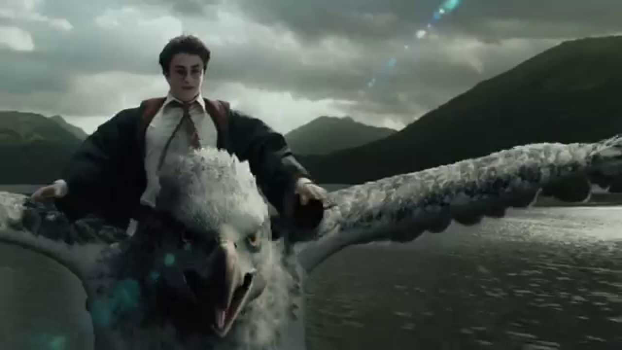 Buckbeak Wallpapers - Top Free Buckbeak Backgrounds - WallpaperAccess