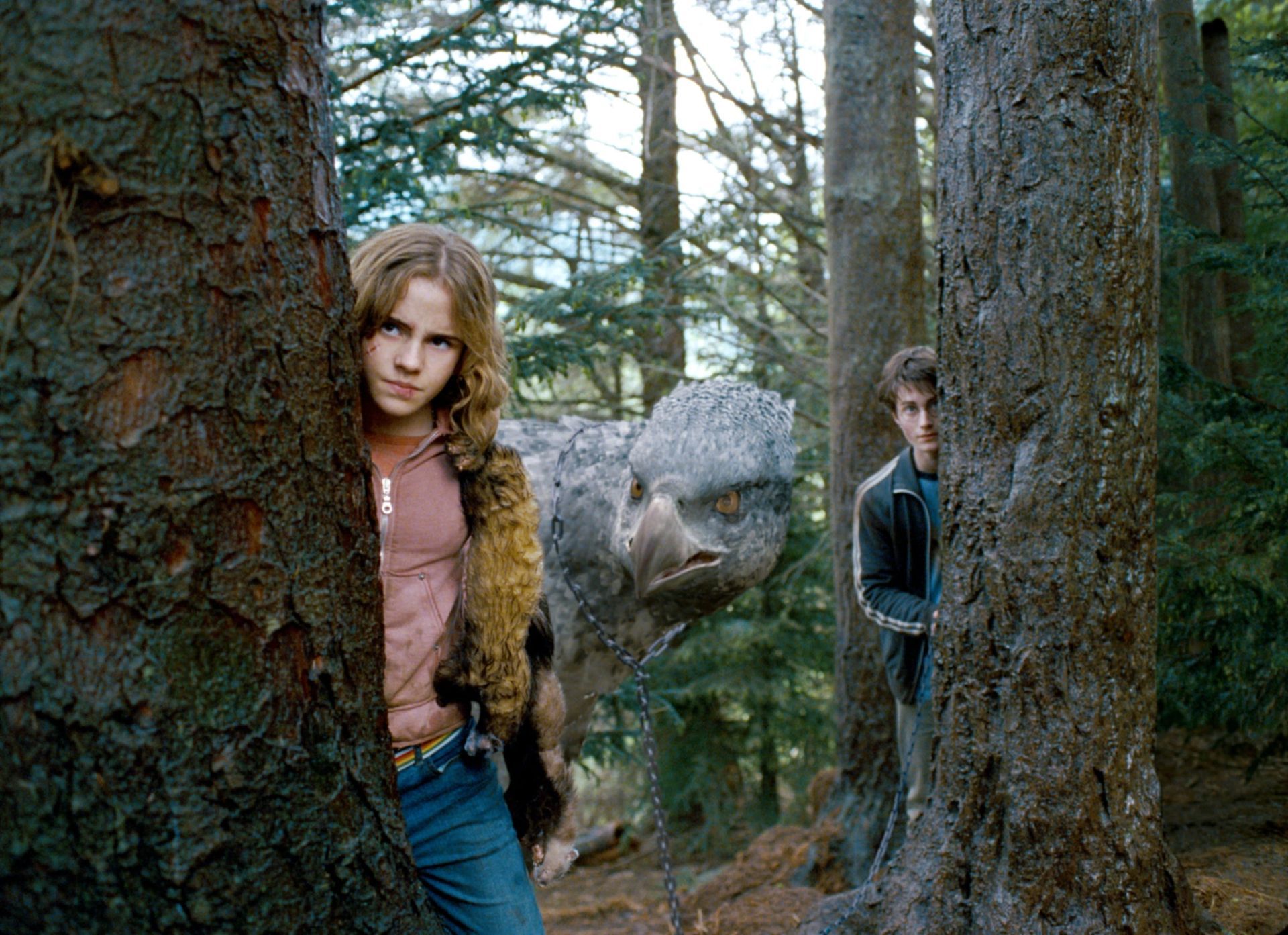 Buckbeak Wallpapers - Top Free Buckbeak Backgrounds - WallpaperAccess
