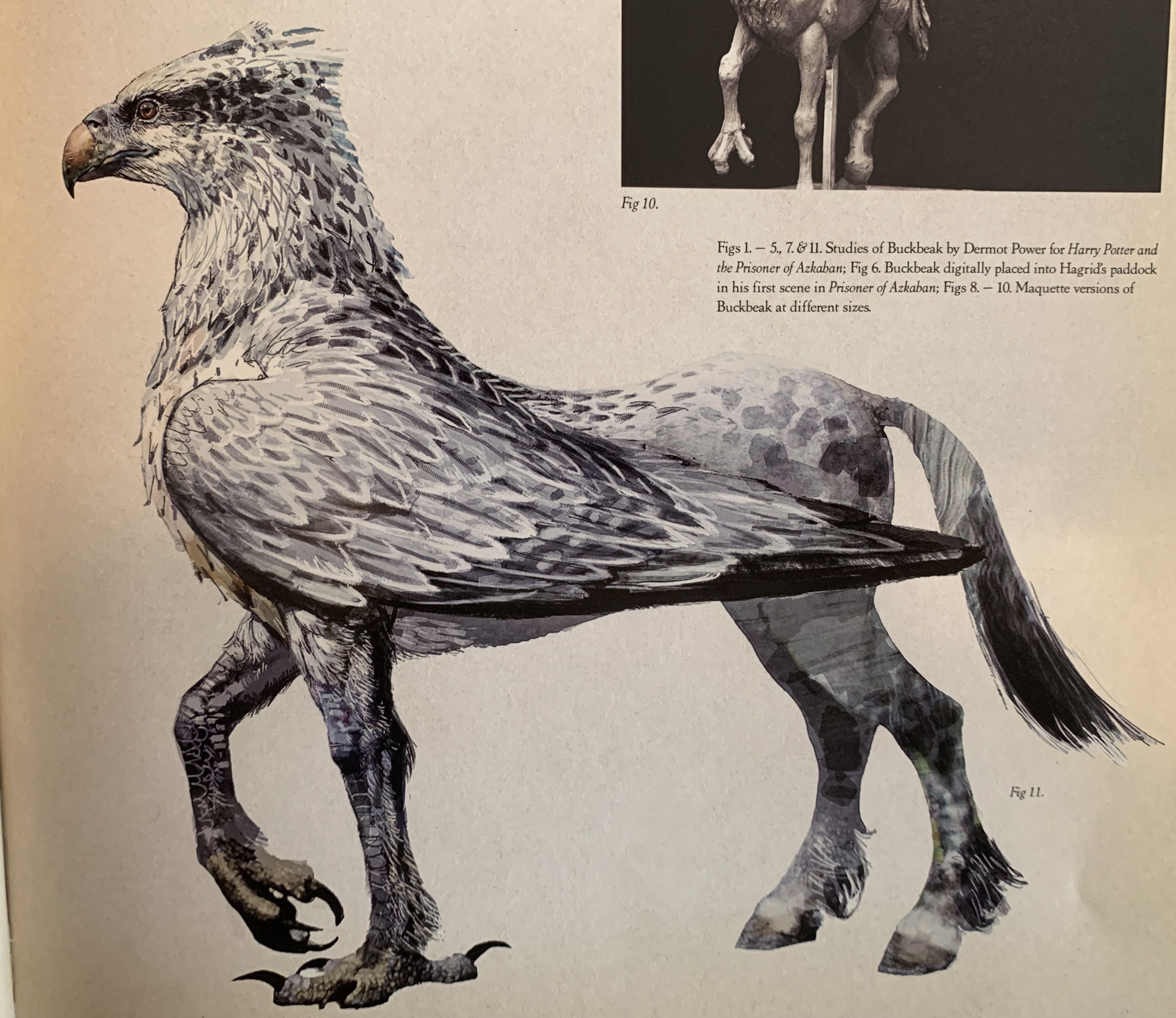 Buckbeak Wallpapers - Top Free Buckbeak Backgrounds - WallpaperAccess