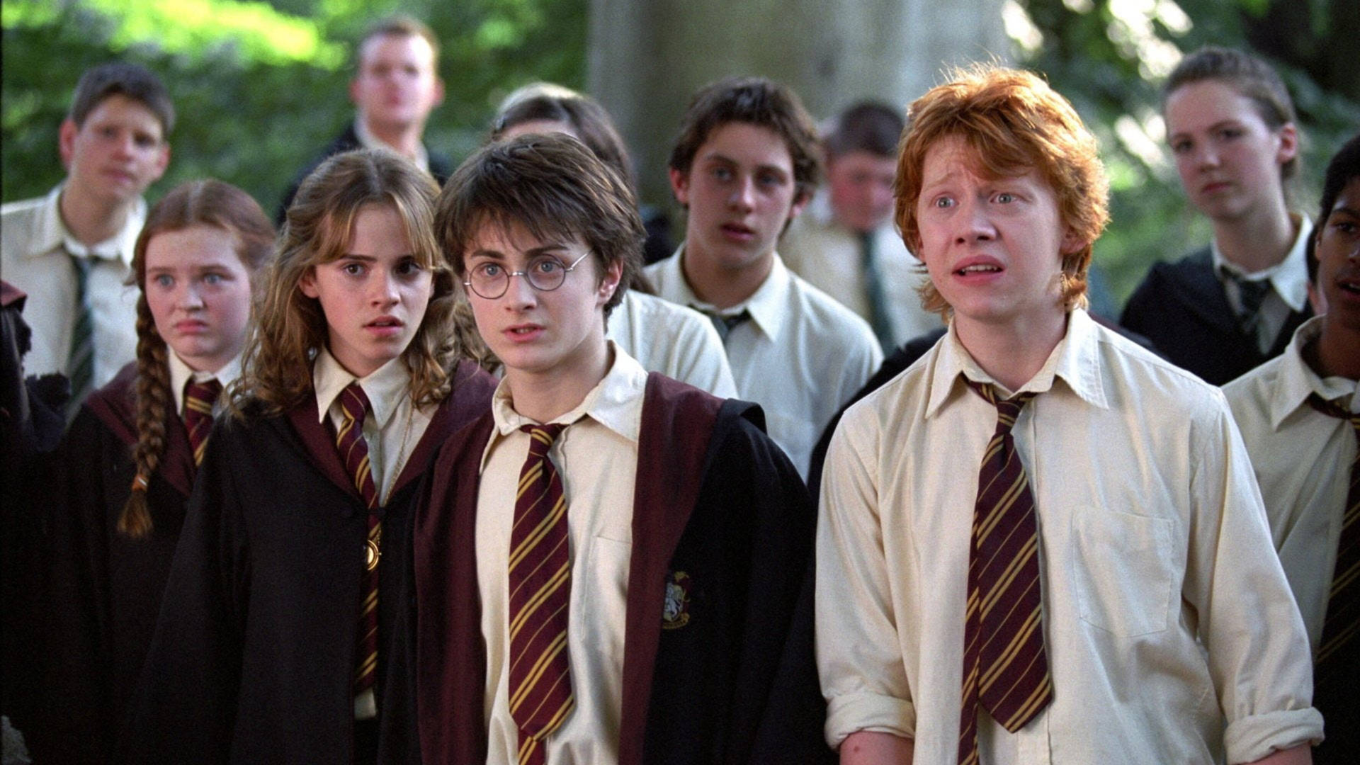 Buckbeak Wallpapers - Top Free Buckbeak Backgrounds - WallpaperAccess