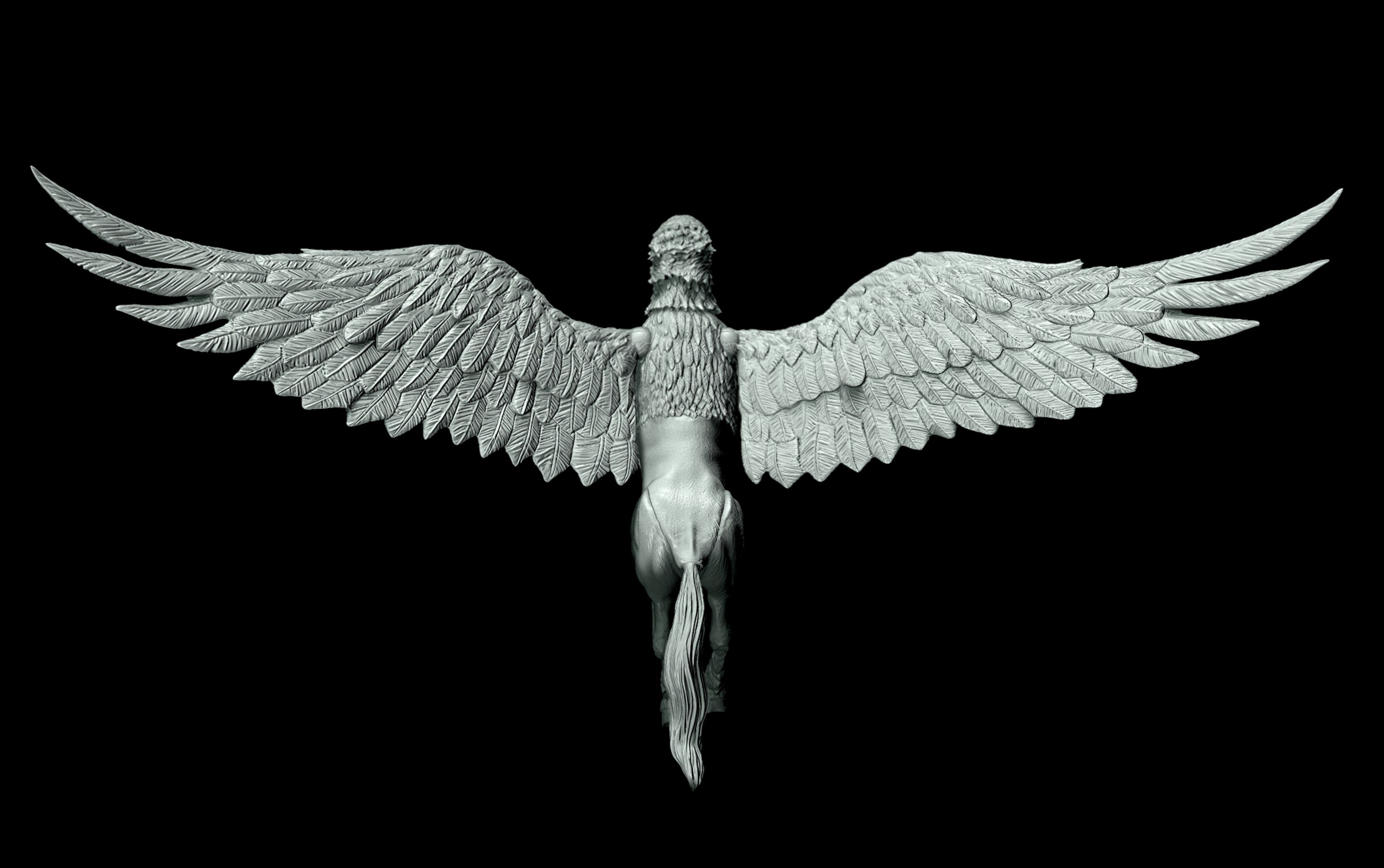 Buckbeak Wallpapers - Top Free Buckbeak Backgrounds - WallpaperAccess