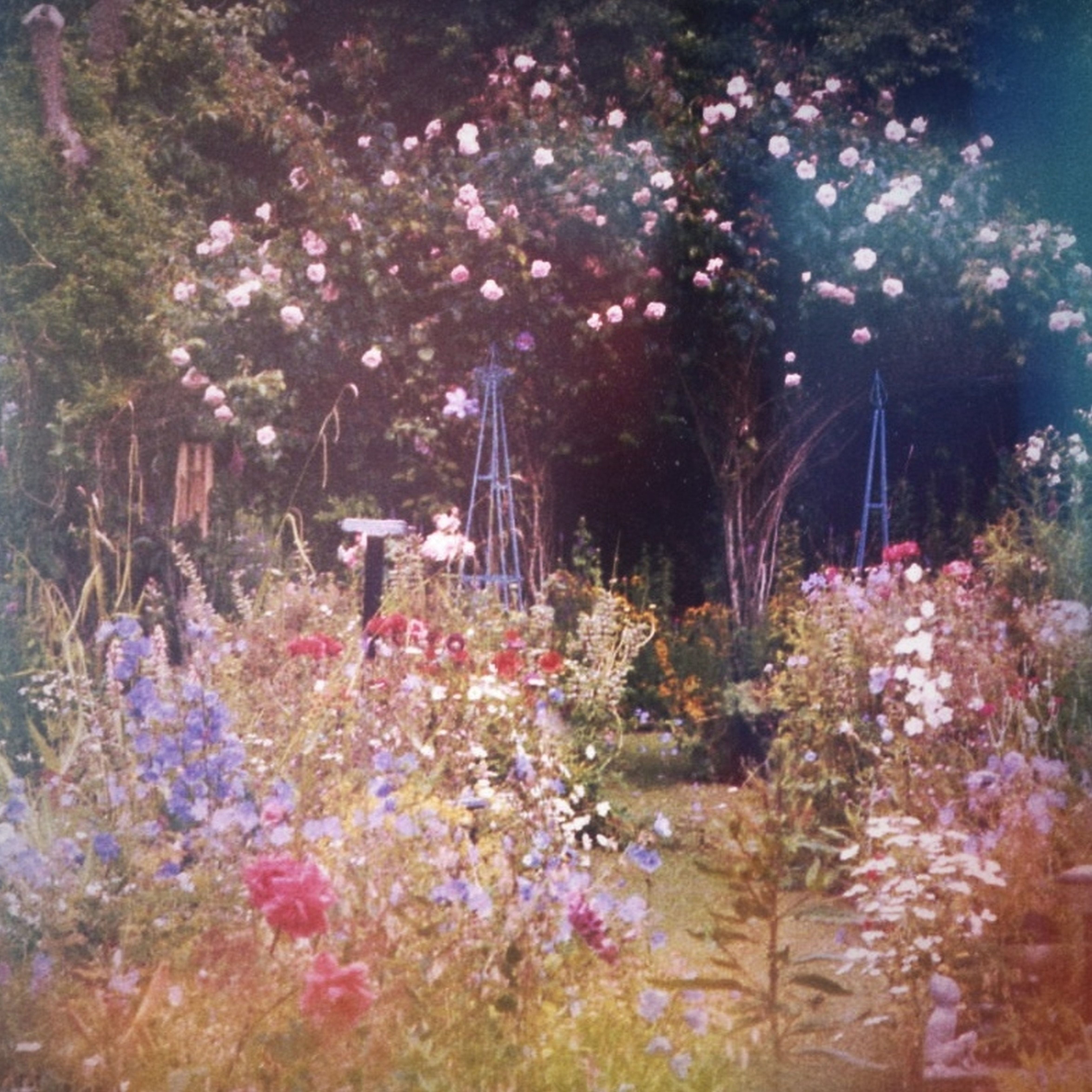 Taman Bunga Wallpapers - Top Free Taman Bunga Backgrounds - WallpaperAccess