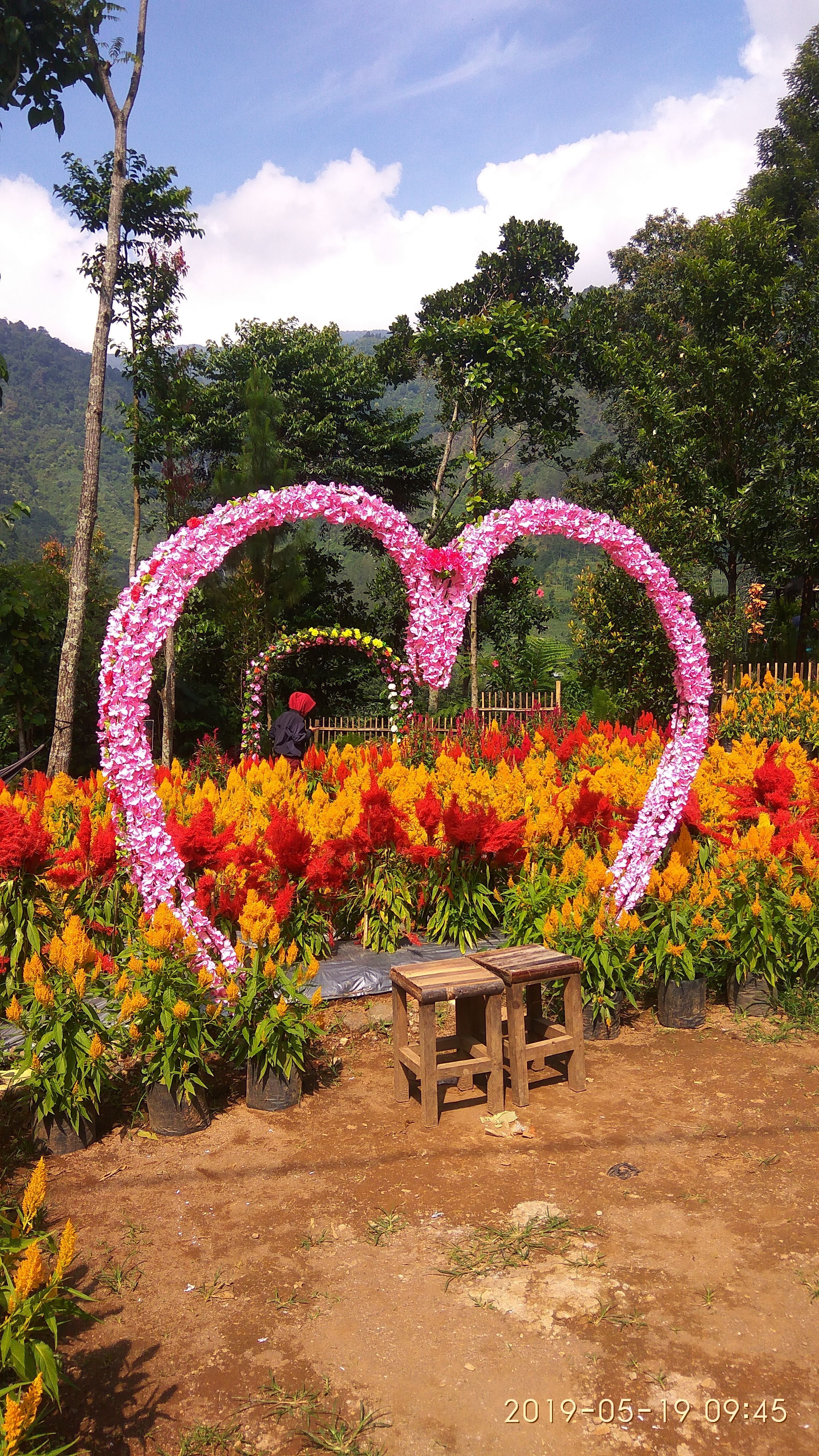 Taman Bunga Wallpapers - Top Free Taman Bunga Backgrounds - WallpaperAccess