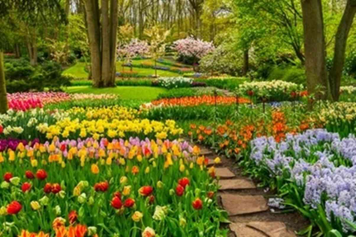 Taman Bunga Wallpapers - Top Free Taman Bunga Backgrounds - WallpaperAccess