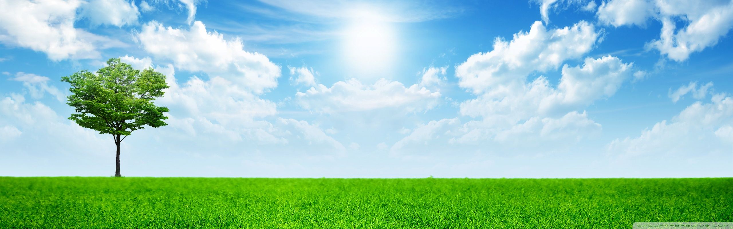 Pest Control Wallpapers - Top Free Pest Control Backgrounds ...