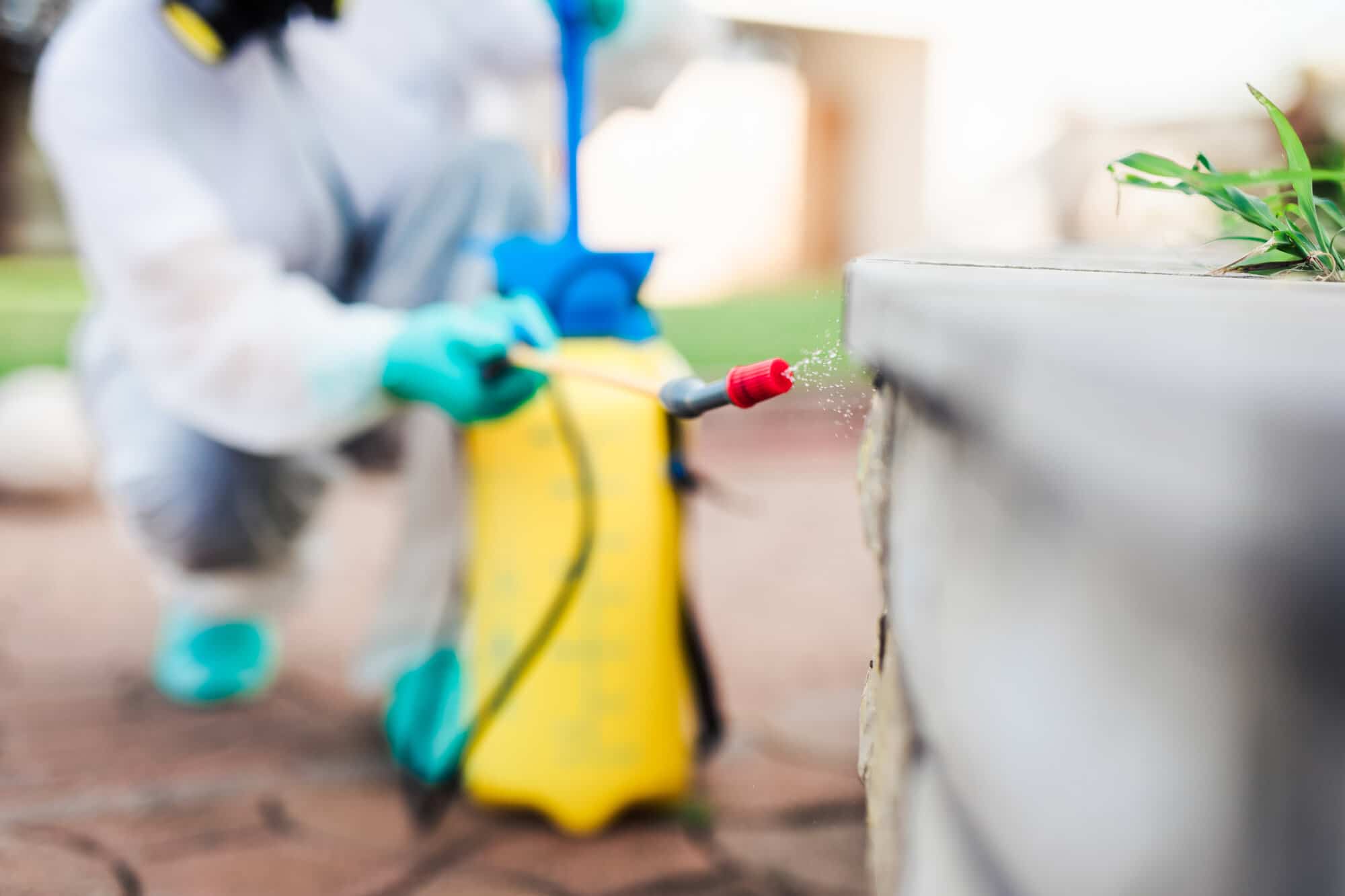 Pest Control Wallpapers - Top Free Pest Control Backgrounds ...