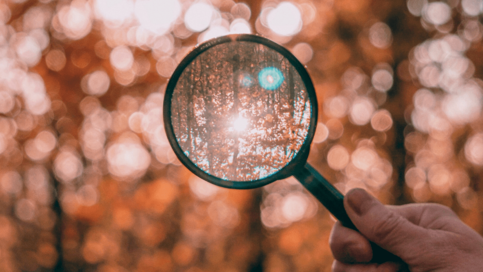 Pest Control Wallpapers - Top Free Pest Control Backgrounds ...