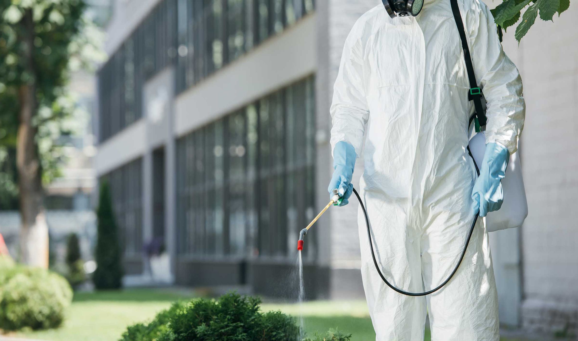 Pest Control Wallpapers - Top Free Pest Control Backgrounds ...