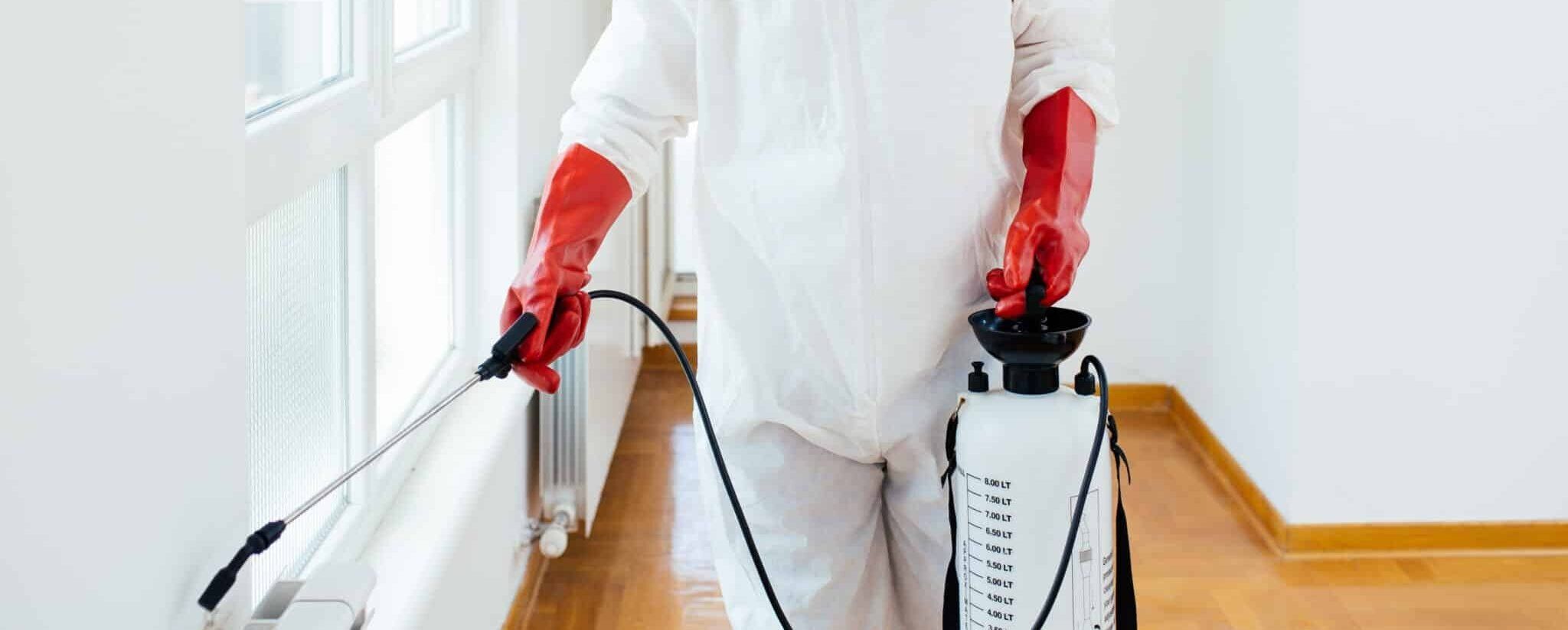 Pest Control Wallpapers - Top Free Pest Control Backgrounds ...