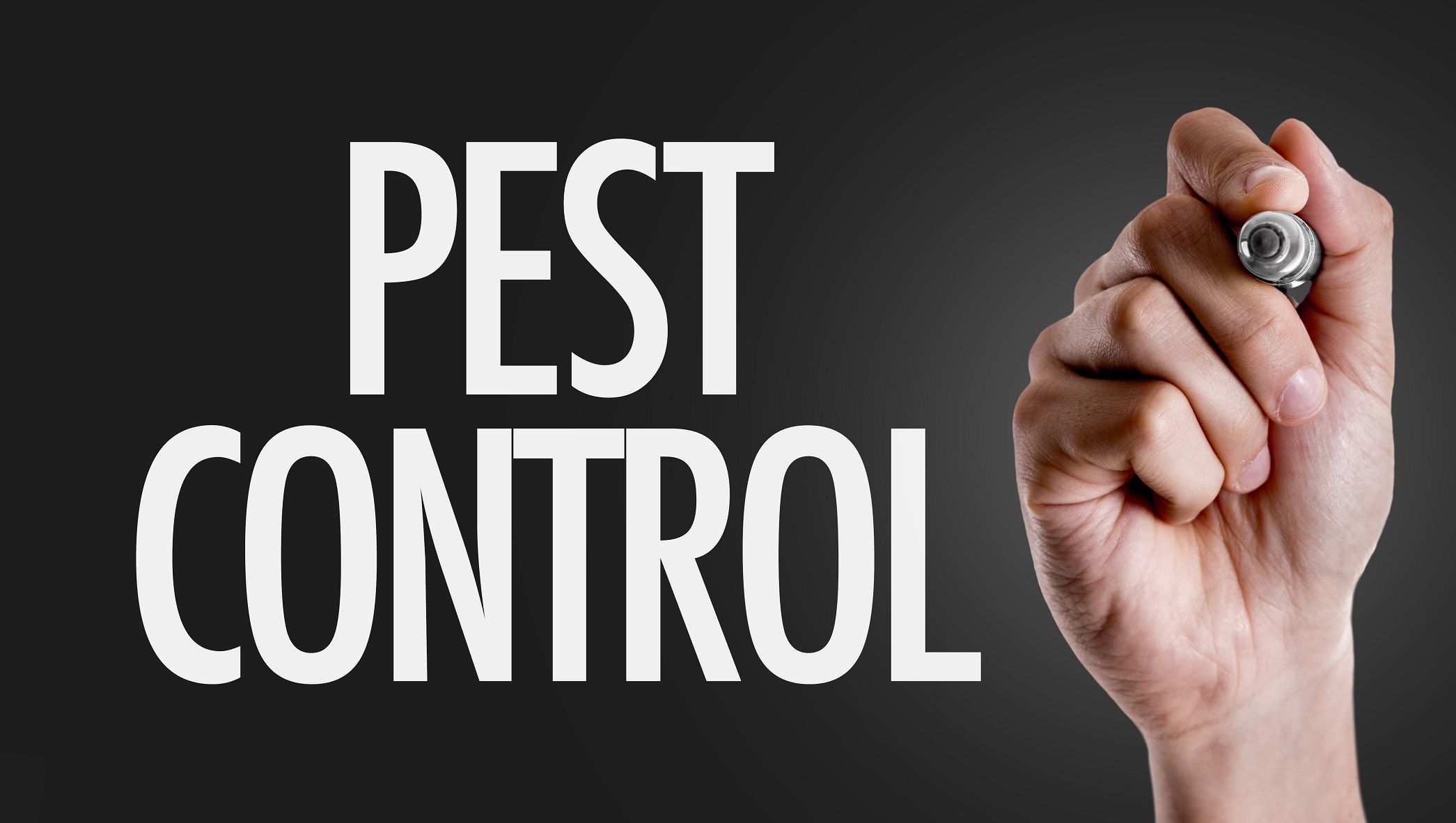 Pest Control Wallpapers - Top Free Pest Control Backgrounds ...