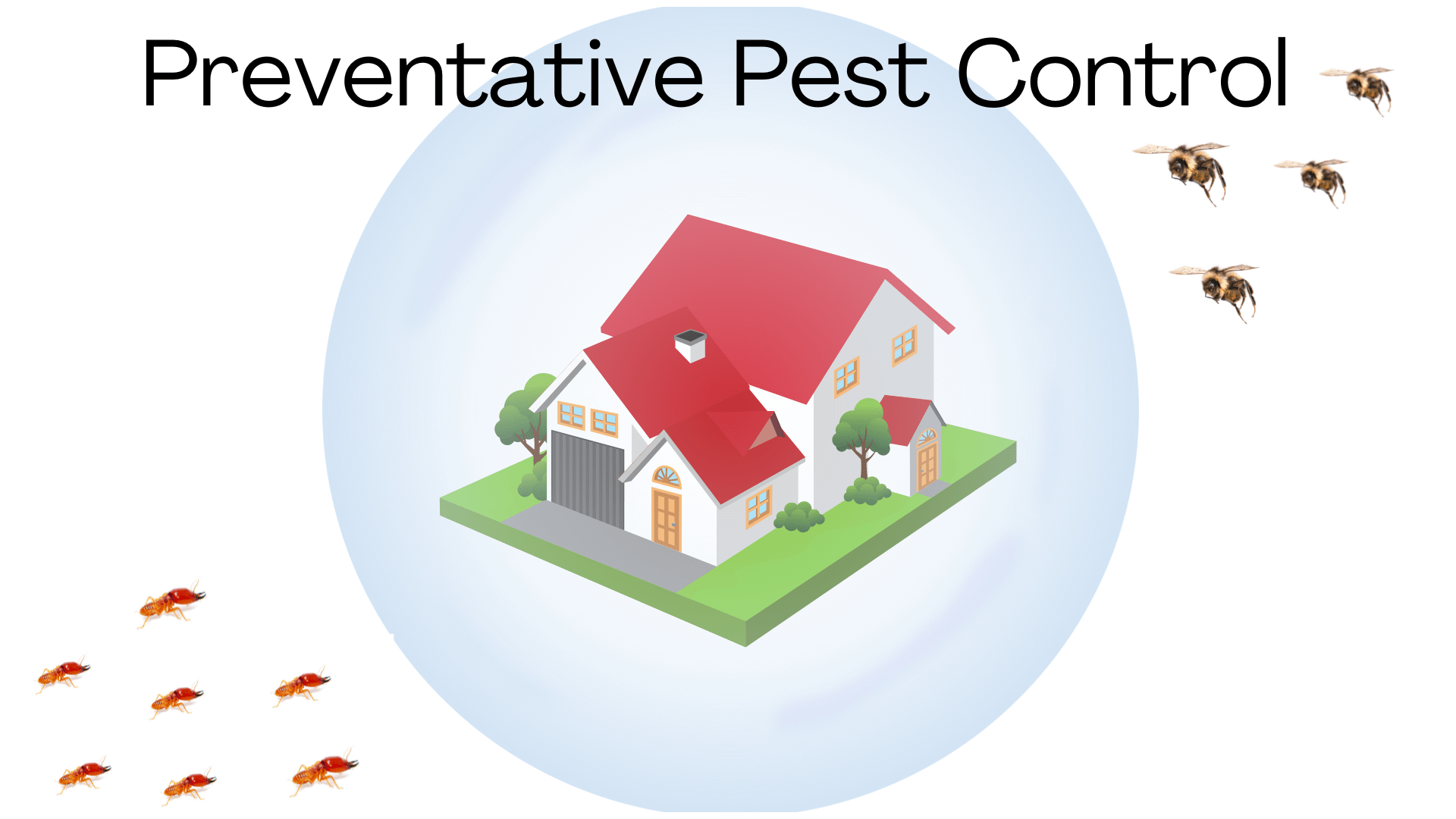 Pest Control Wallpapers - Top Free Pest Control Backgrounds ...