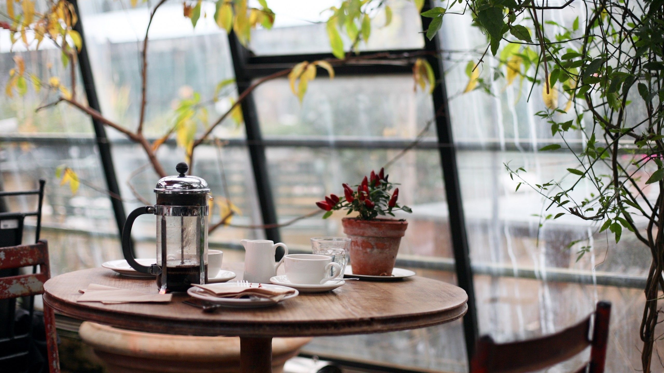 Cozy Cafe Wallpapers - Top Free Cozy Cafe Backgrounds - WallpaperAccess