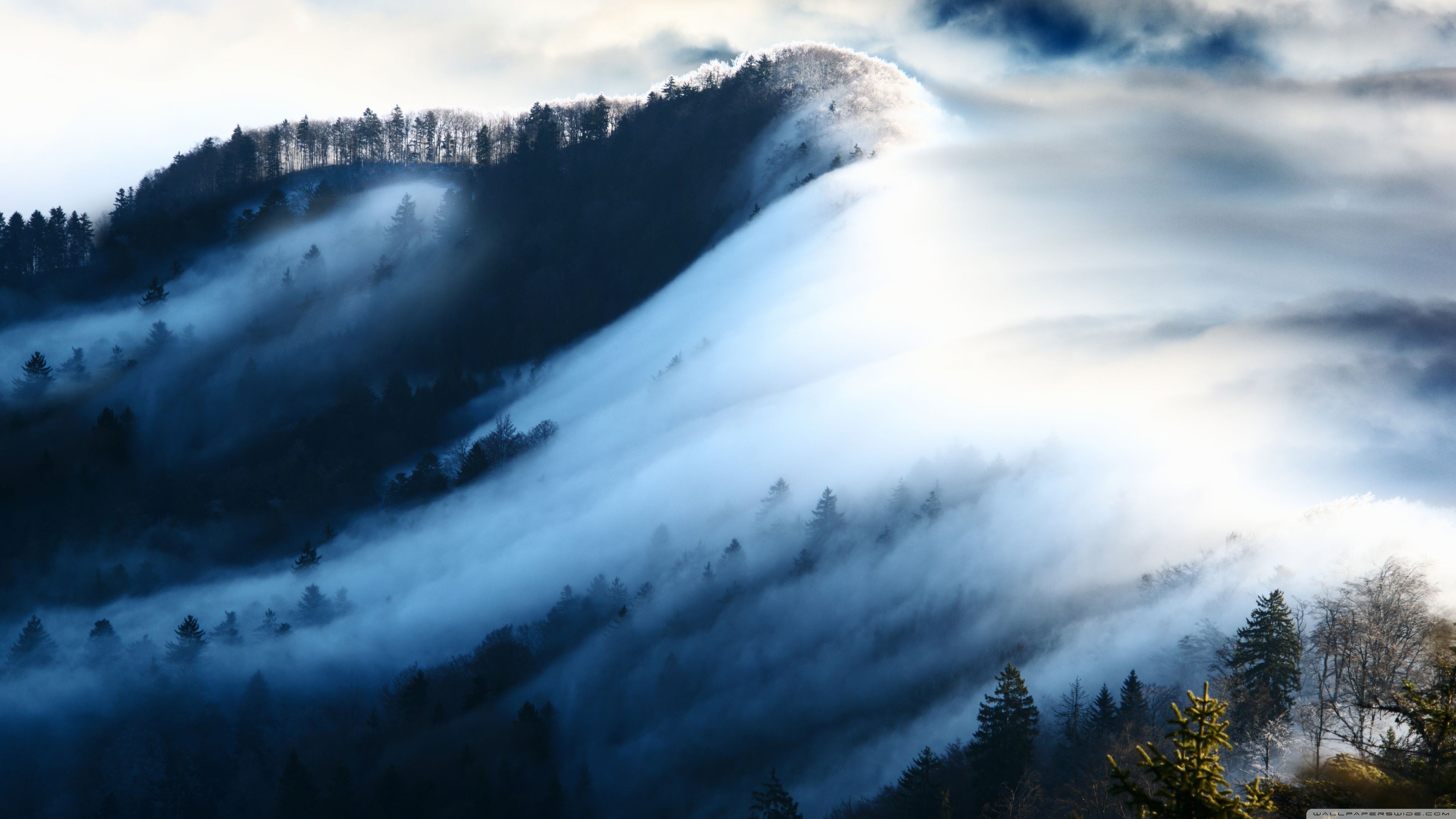 Fog 4k Wallpapers - Top Free Fog 4k Backgrounds - WallpaperAccess