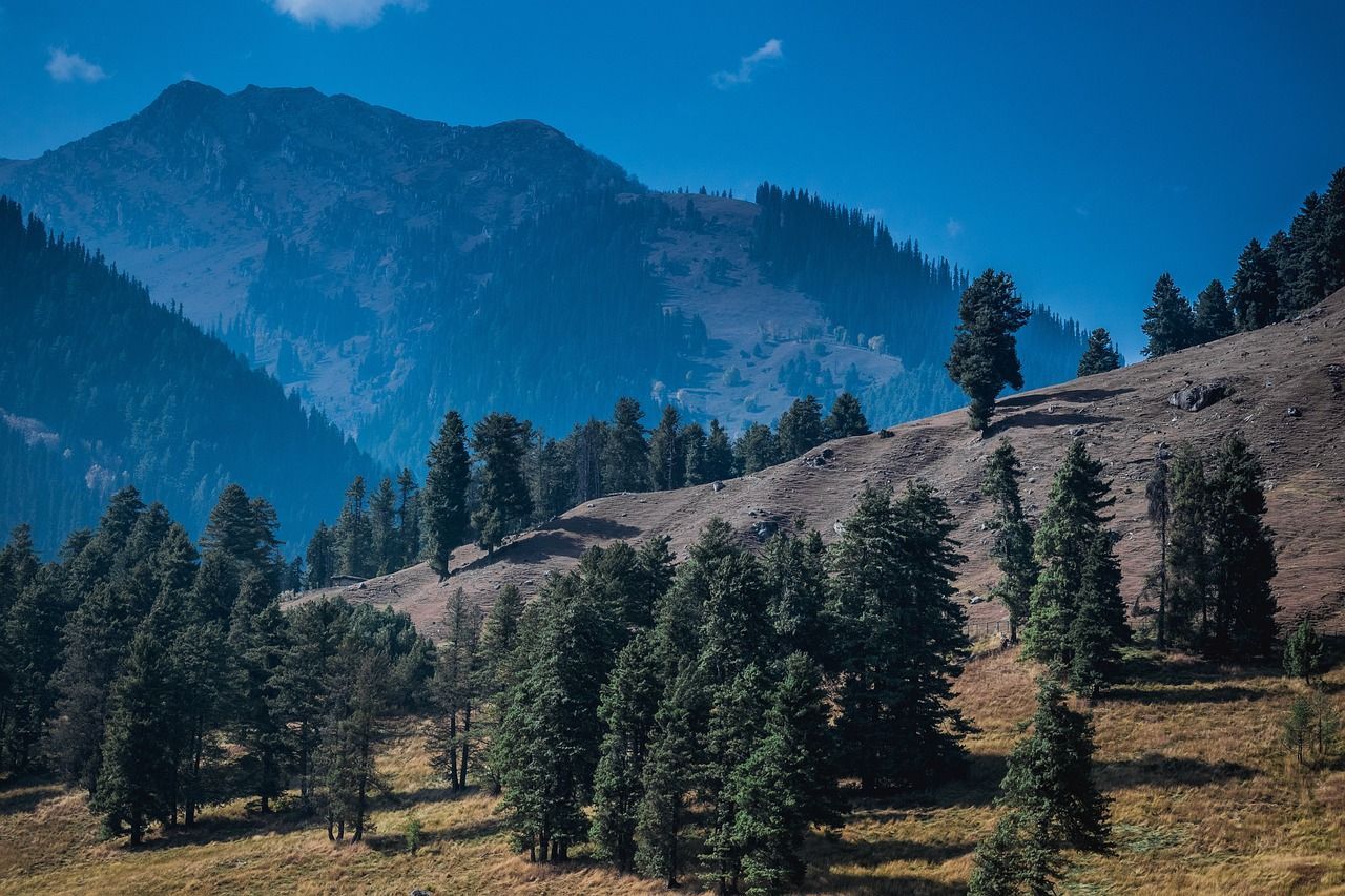 Pahalgam Wallpapers - Top Free Pahalgam Backgrounds - WallpaperAccess