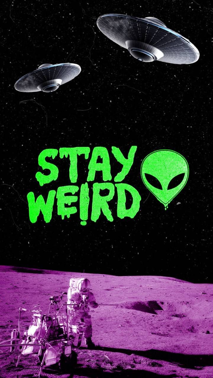 Weirdo Wallpapers - Top Free Weirdo Backgrounds - WallpaperAccess