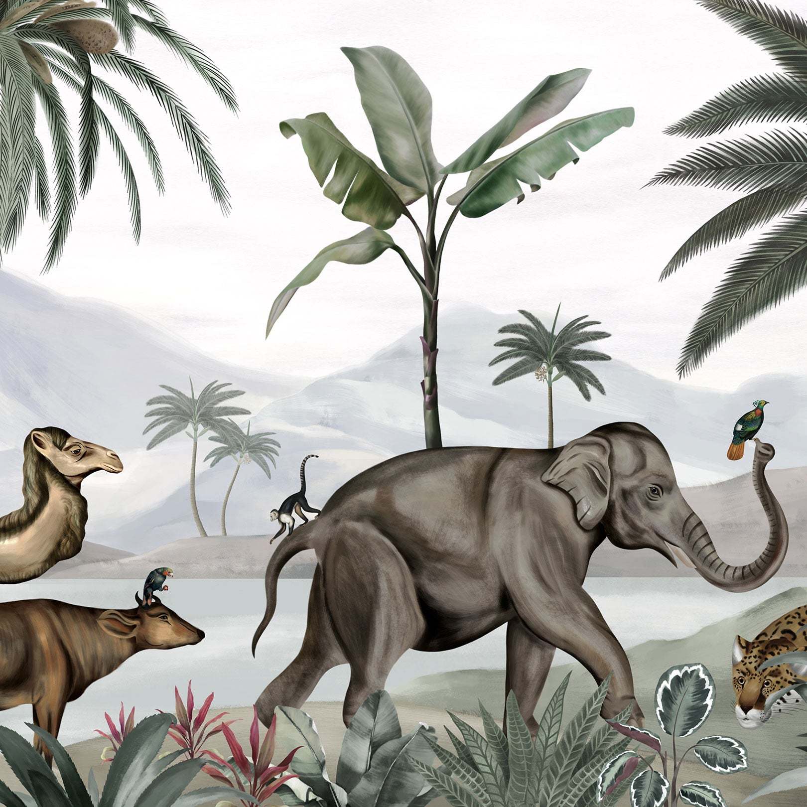 Indian Forest Wallpapers - Top Free Indian Forest Backgrounds ...