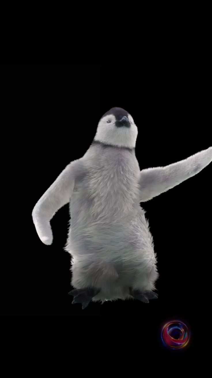 Funny Moving Wallpapers - Top Free Funny Moving Backgrounds ...