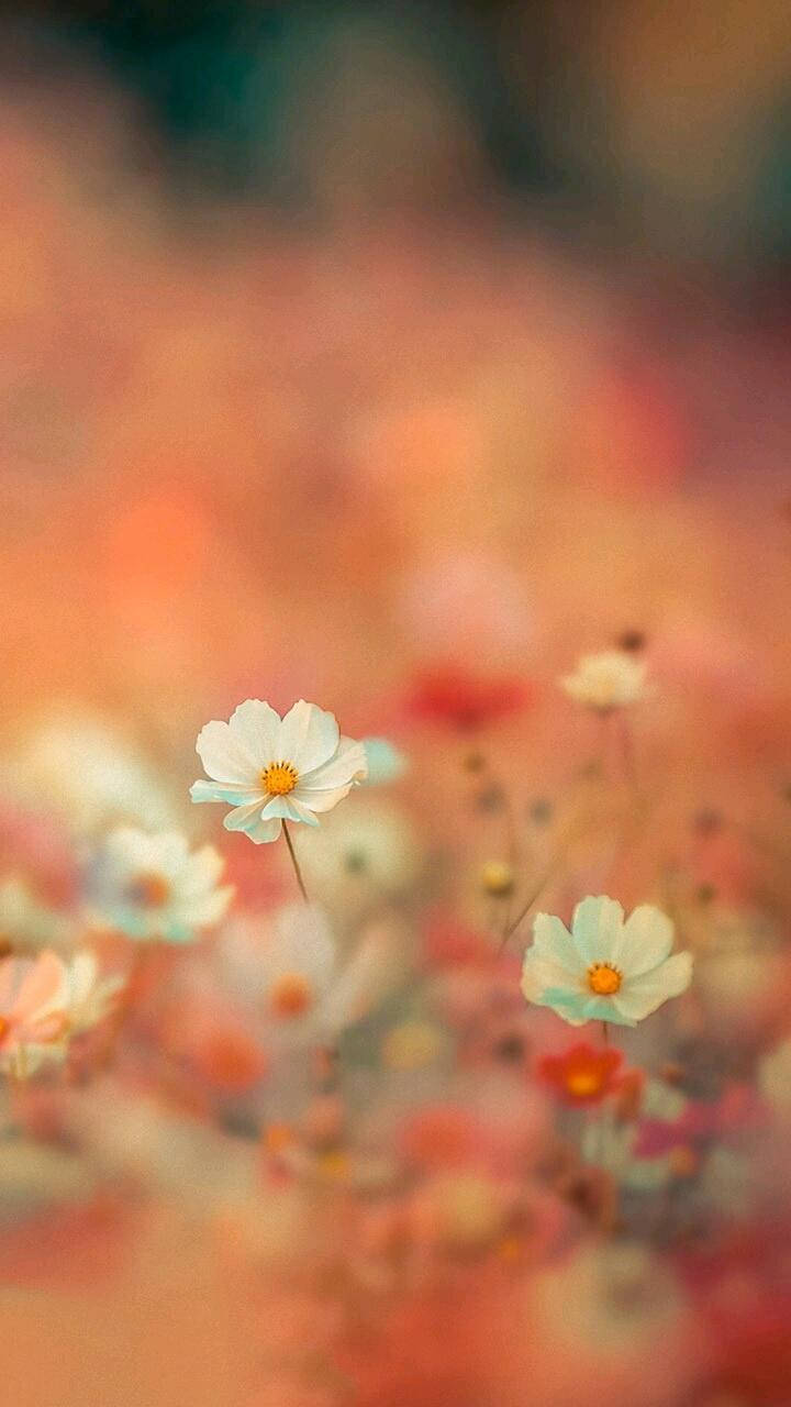 Portrait Photography Wallpapers - Top Free Portrait Photography ...