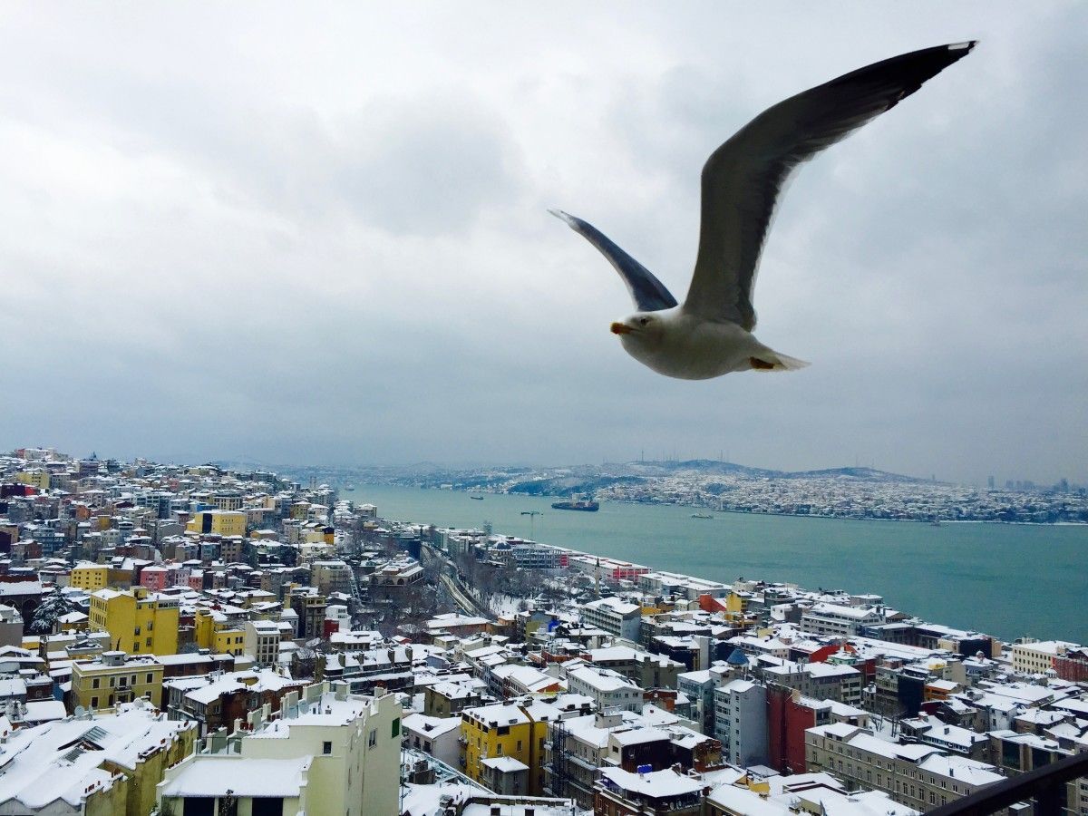 Istanbul Winter Wallpapers - Top Free Istanbul Winter Backgrounds ...