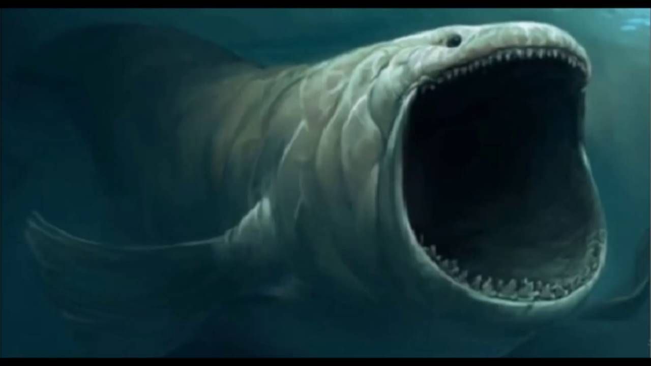 Bloop Wallpapers - Top Free Bloop Backgrounds - WallpaperAccess