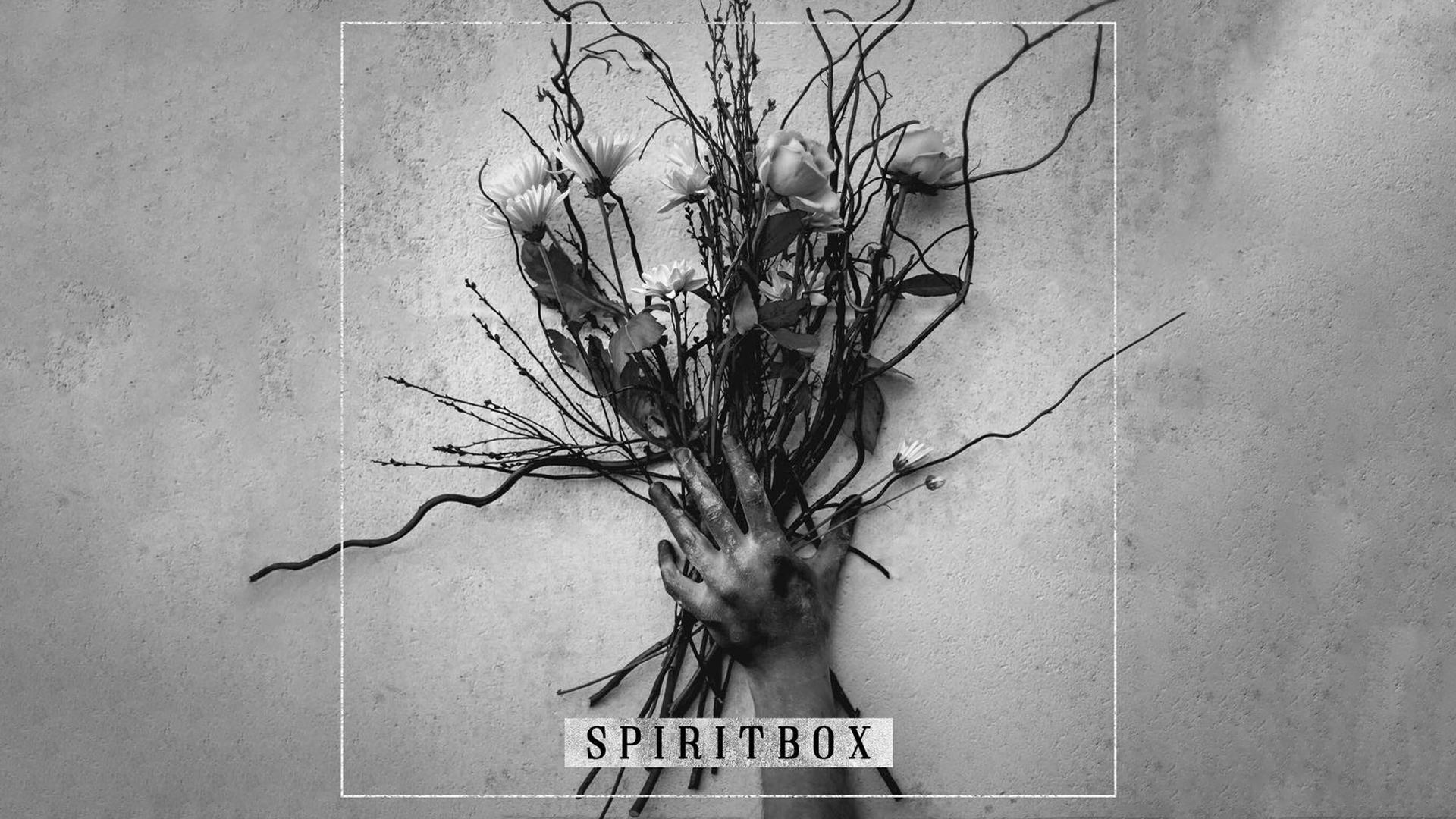 Spiritbox Wallpapers - Top Free Spiritbox Backgrounds - WallpaperAccess