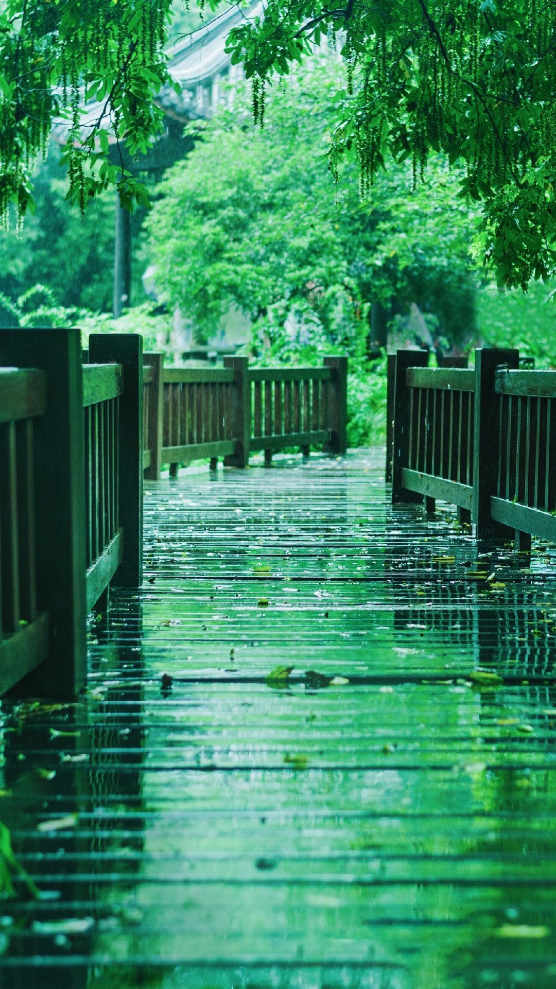 Eye Protection Wallpapers - Top Free Eye Protection Backgrounds ...