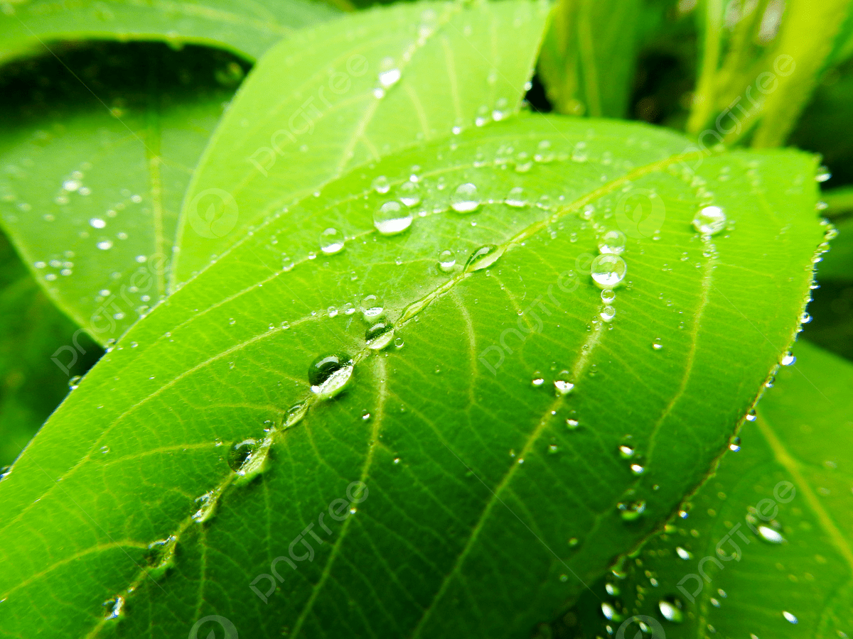 Eye Protection Wallpapers - Top Free Eye Protection Backgrounds ...