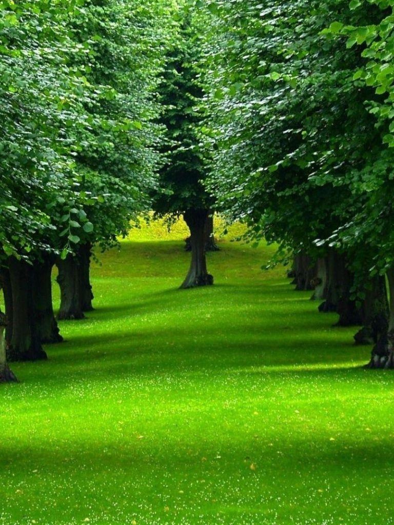 Eye Protection Wallpapers - Top Free Eye Protection Backgrounds ...