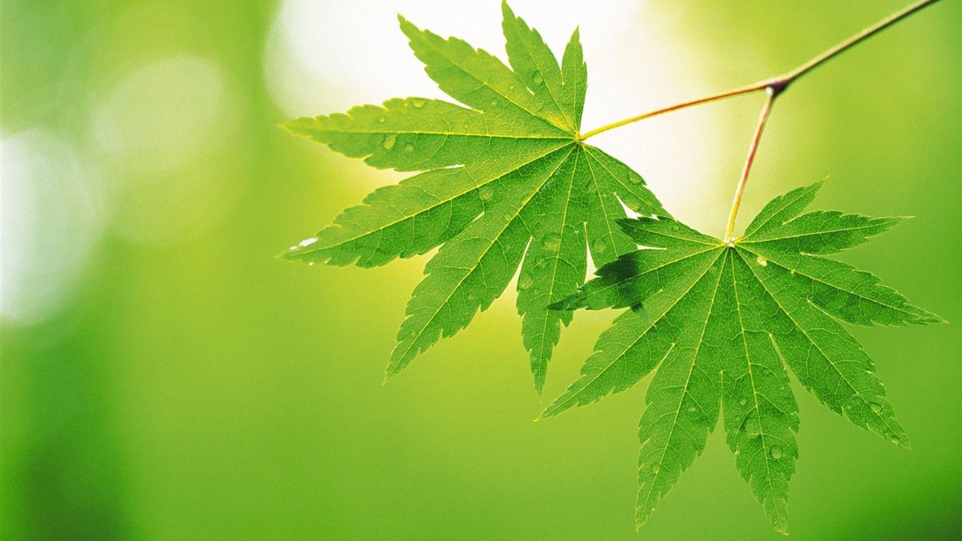 Eye Protection Wallpapers - Top Free Eye Protection Backgrounds ...