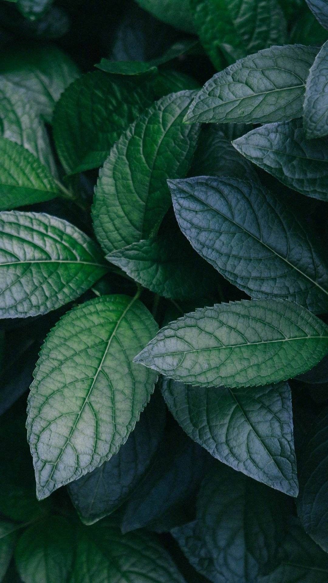 Eye Protection Wallpapers - Top Free Eye Protection Backgrounds ...