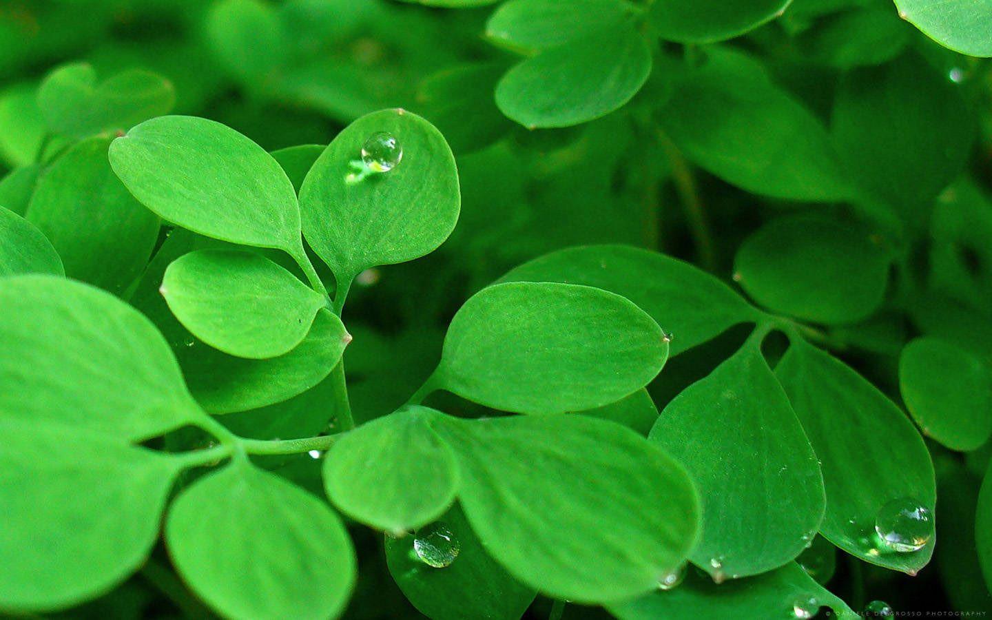 Eye Protection Wallpapers - Top Free Eye Protection Backgrounds ...