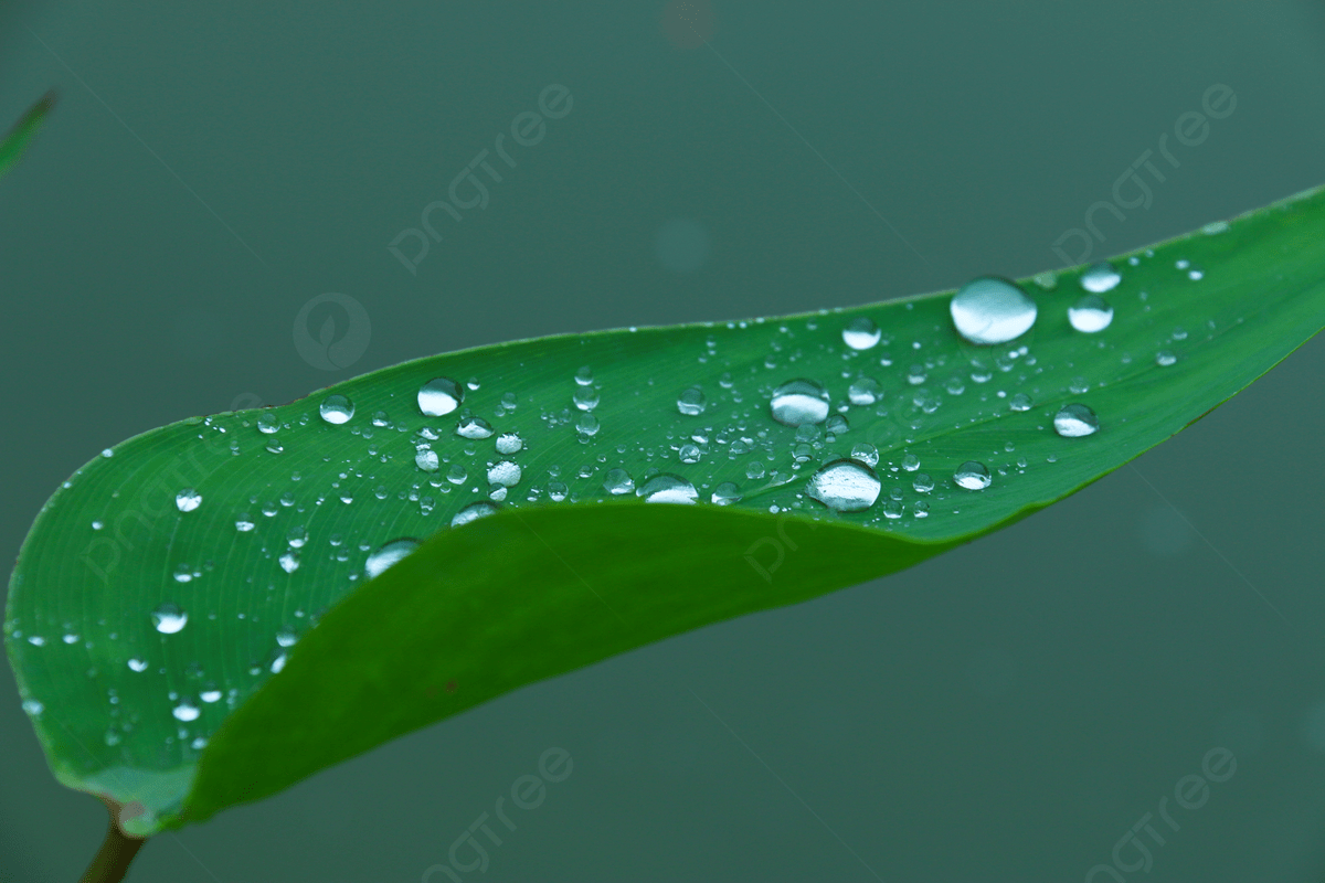 Eye Protection Wallpapers - Top Free Eye Protection Backgrounds ...