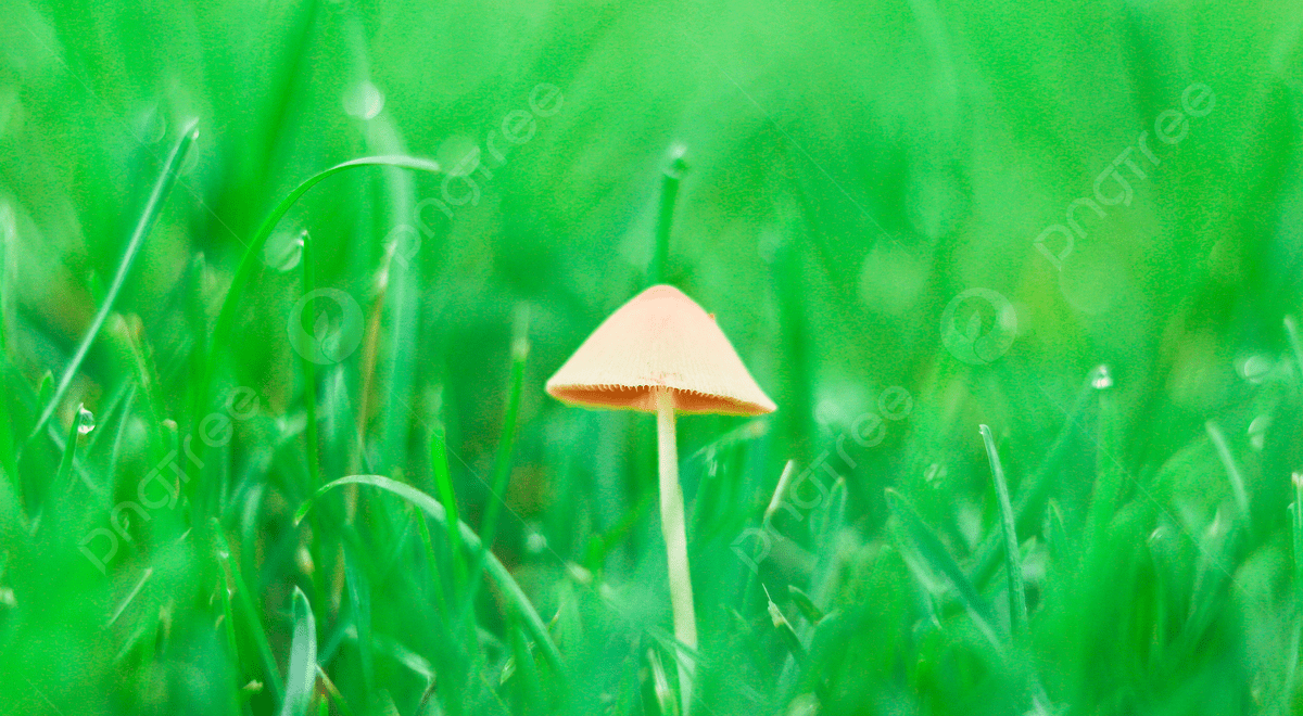 Eye Protection Wallpapers - Top Free Eye Protection Backgrounds ...