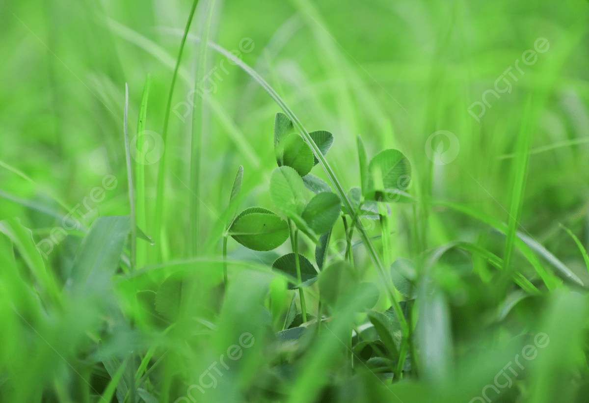 Eye Protection Wallpapers - Top Free Eye Protection Backgrounds ...