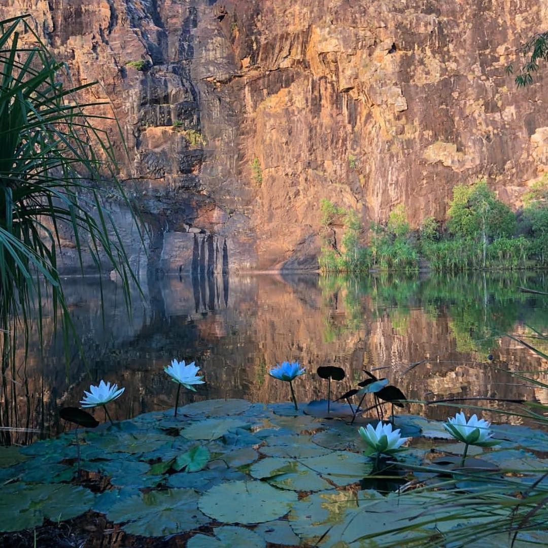 Kakadu National Park Wallpapers - Top Free Kakadu National Park ...