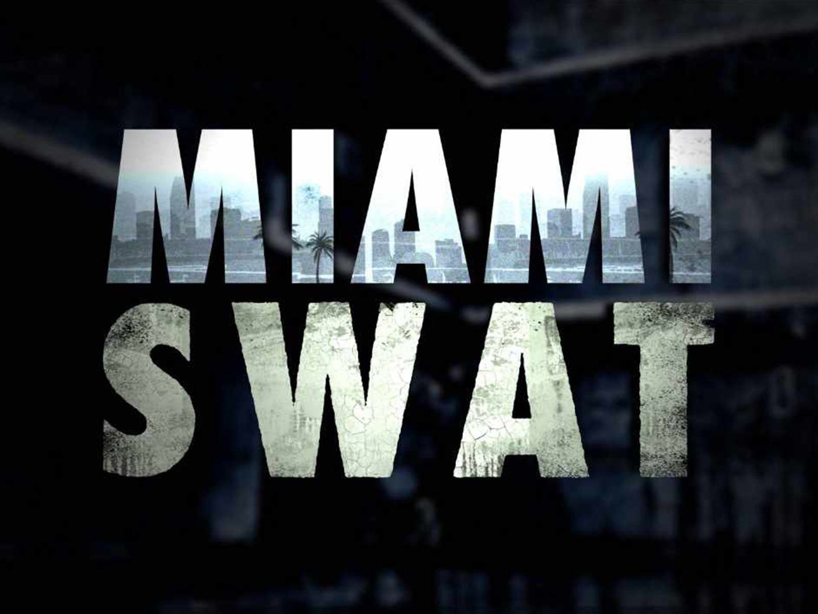 Swat Logo Wallpapers - Top Free Swat Logo Backgrounds - WallpaperAccess