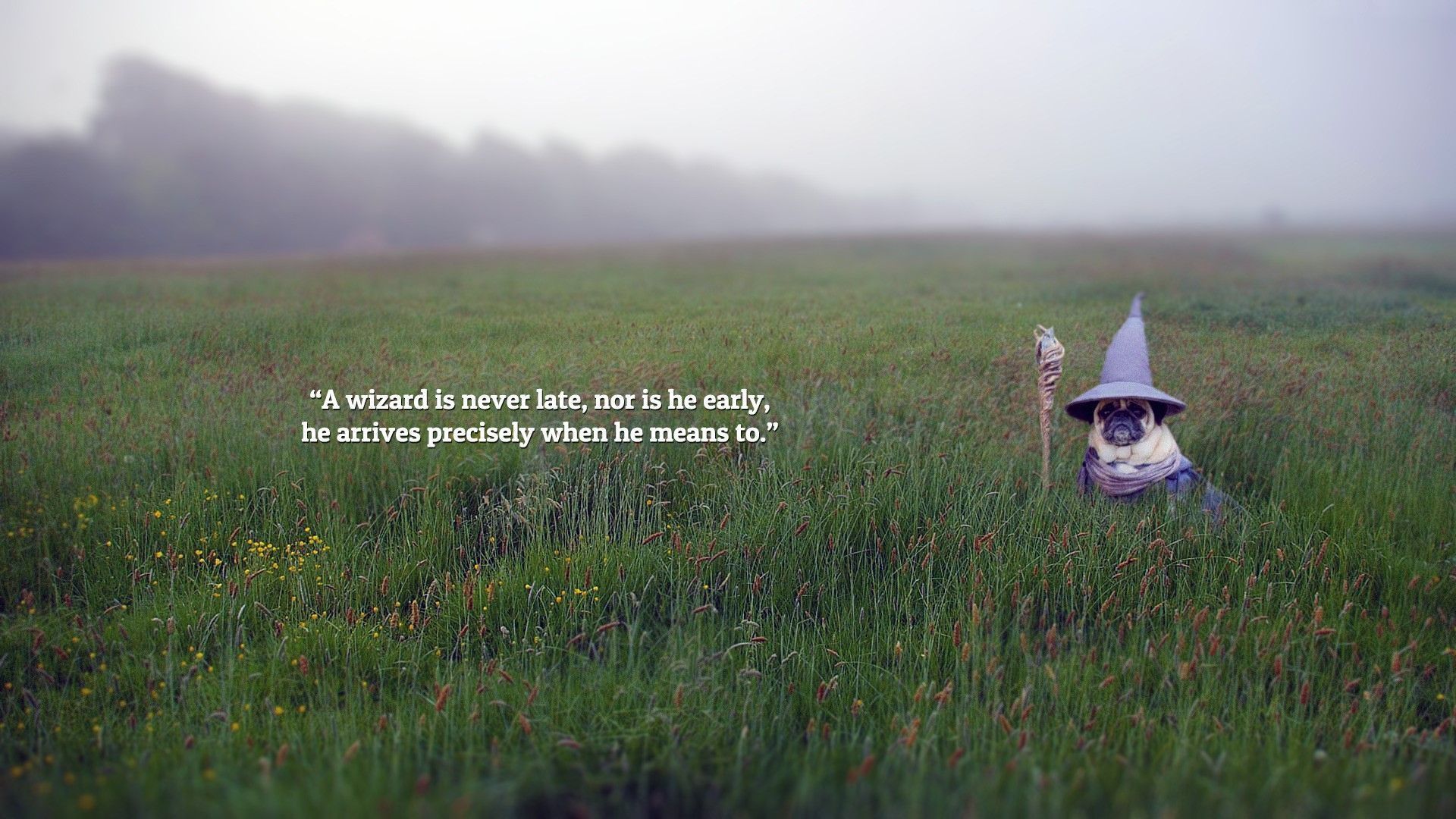 Lord of The Rings Quotes Wallpapers - Top Free Lord of The Rings Quotes ...