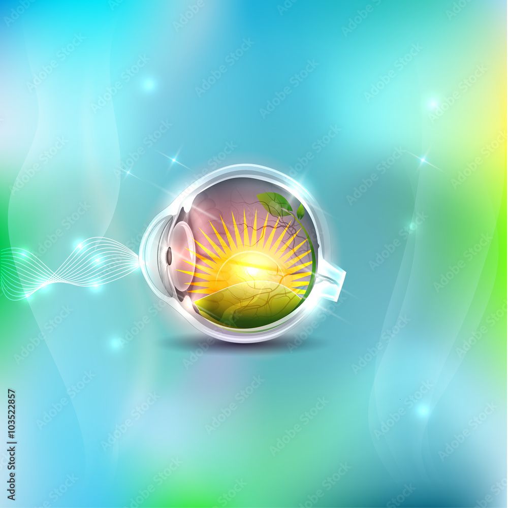 Eye Anatomy Wallpapers - Top Free Eye Anatomy Backgrounds - WallpaperAccess