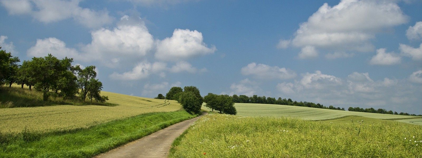 Slider Wallpapers - Top Free Slider Backgrounds - WallpaperAccess