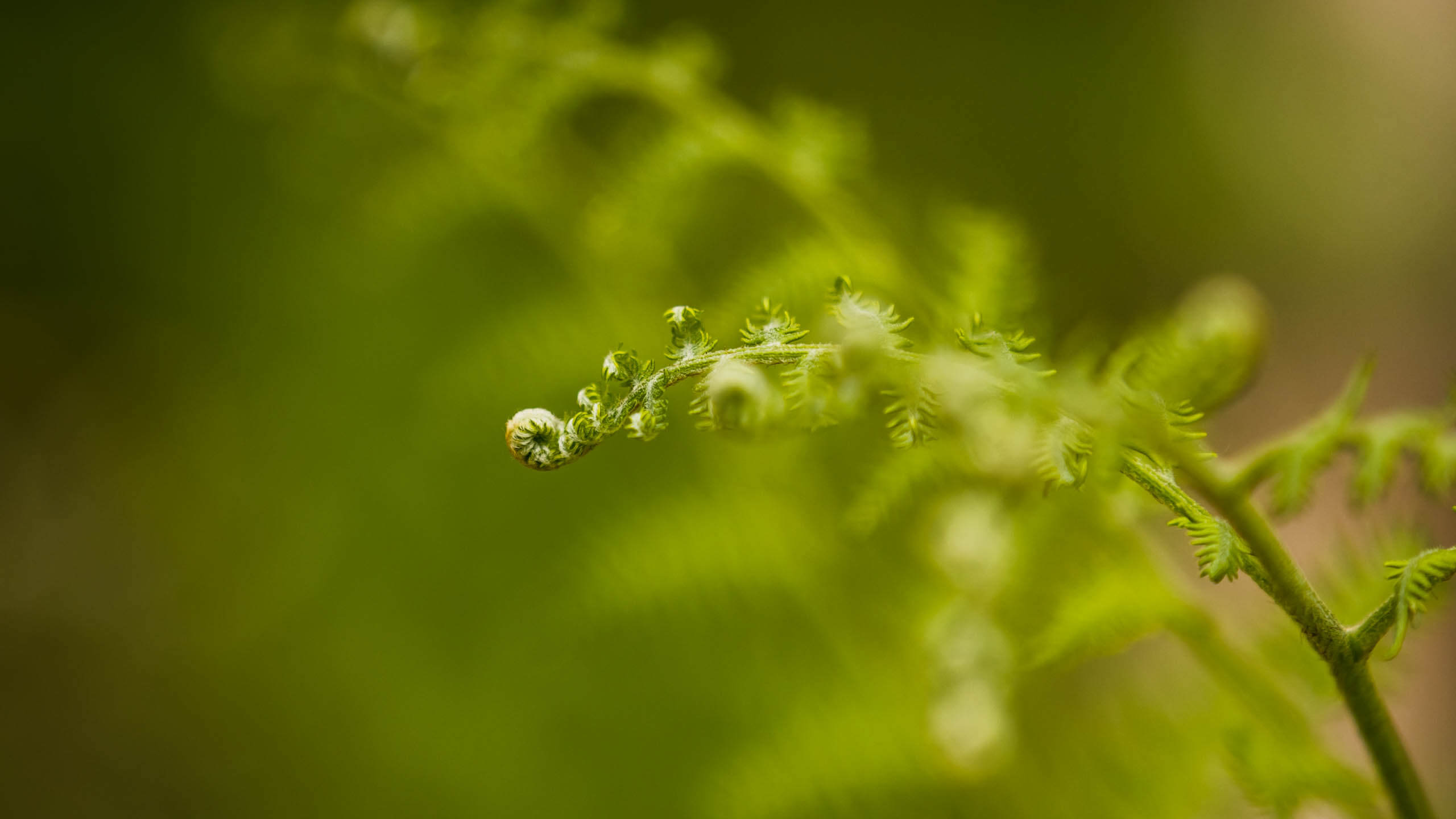 Slider Wallpapers - Top Free Slider Backgrounds - WallpaperAccess