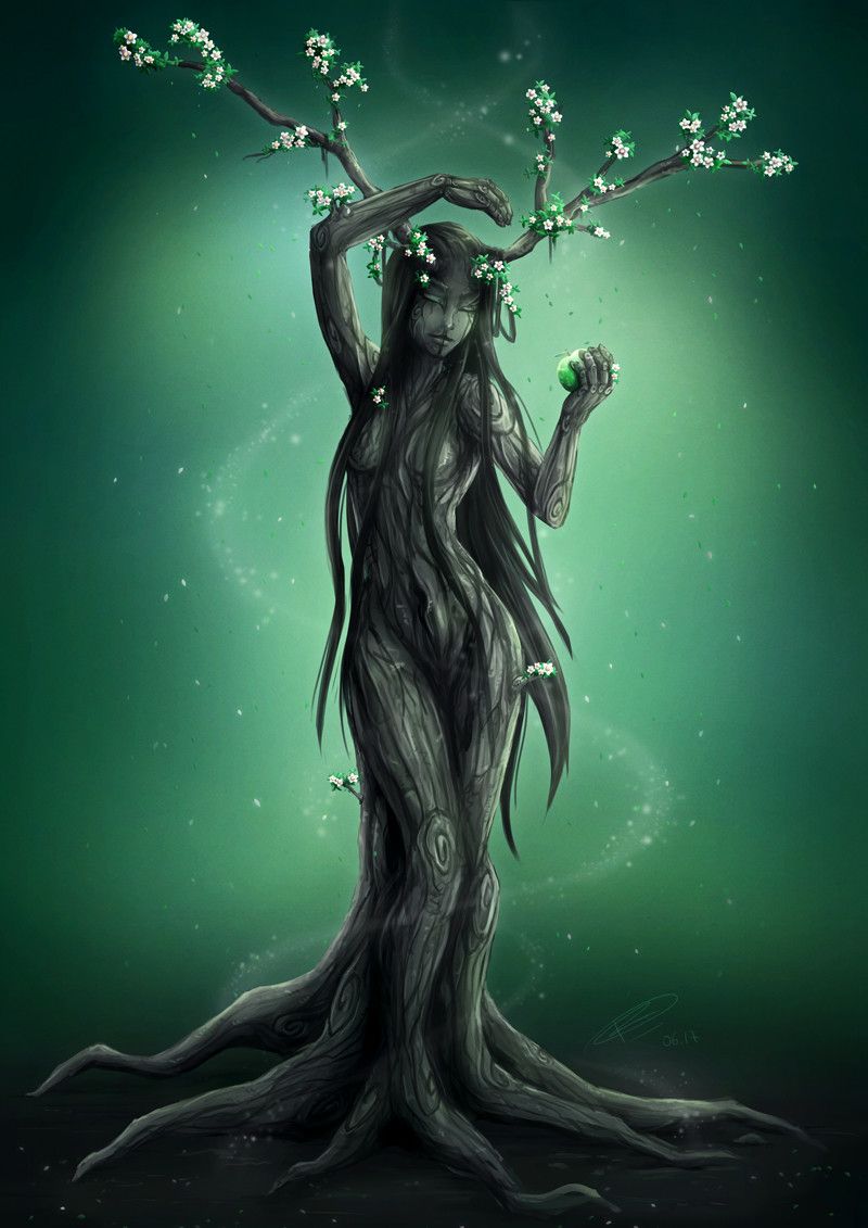 Dryad Wallpapers - Top Free Dryad Backgrounds - WallpaperAccess