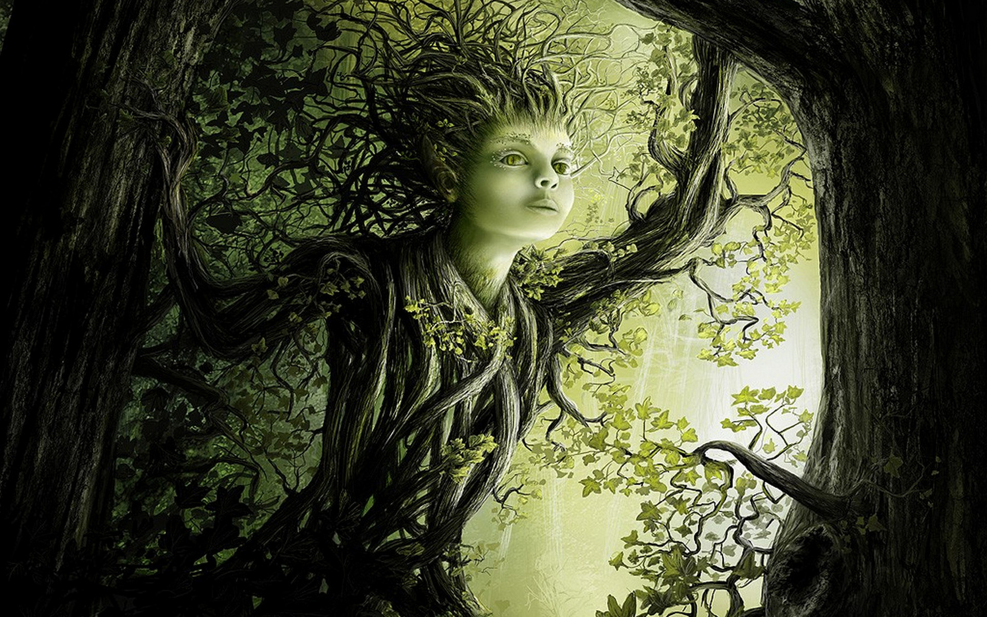 Dryad Wallpapers - Top Free Dryad Backgrounds - WallpaperAccess