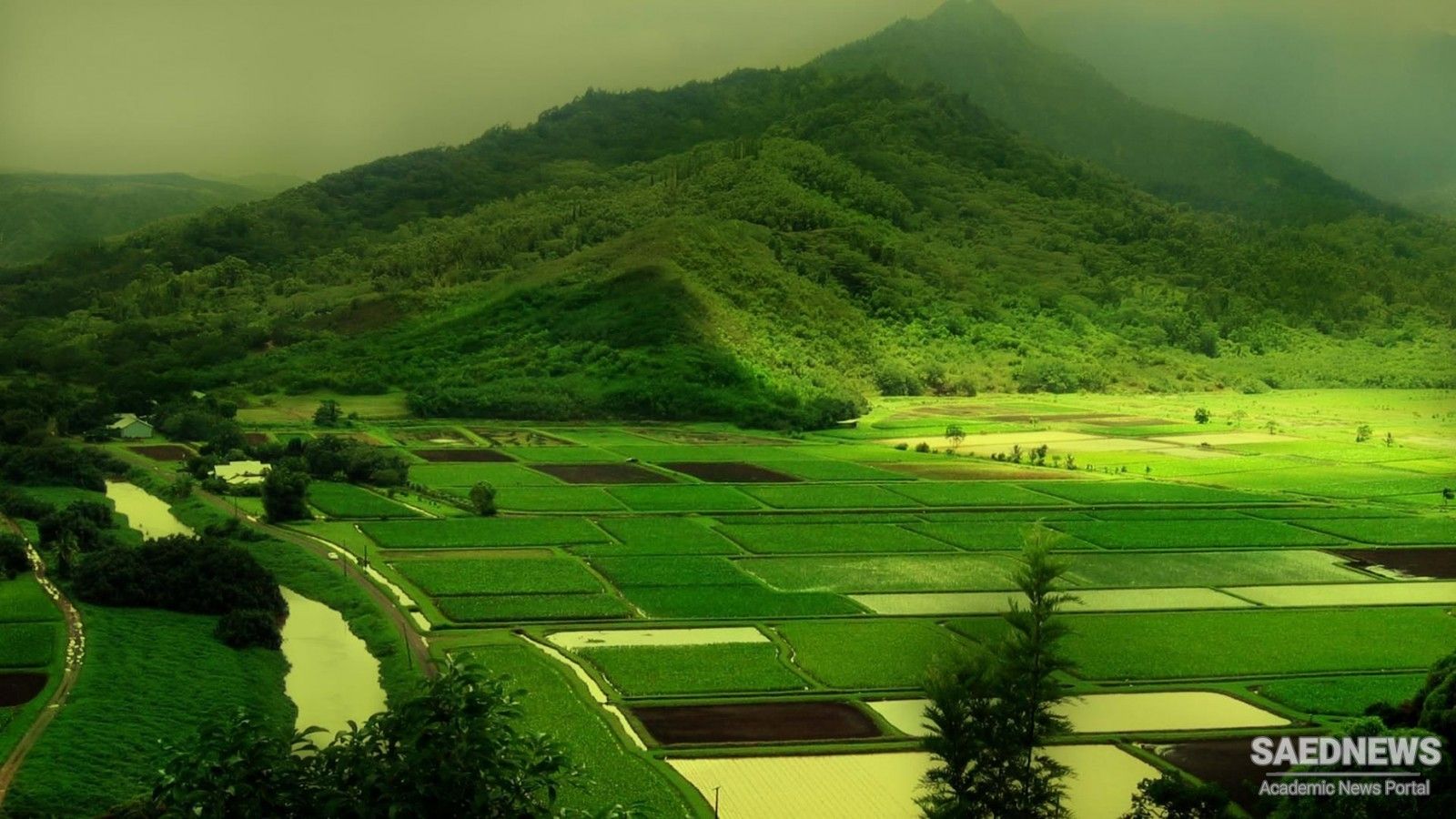 Guilan Wallpapers - Top Free Guilan Backgrounds - WallpaperAccess