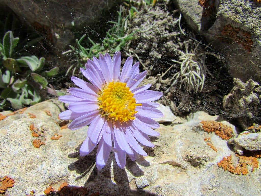 Guilan Wallpapers - Top Free Guilan Backgrounds - WallpaperAccess